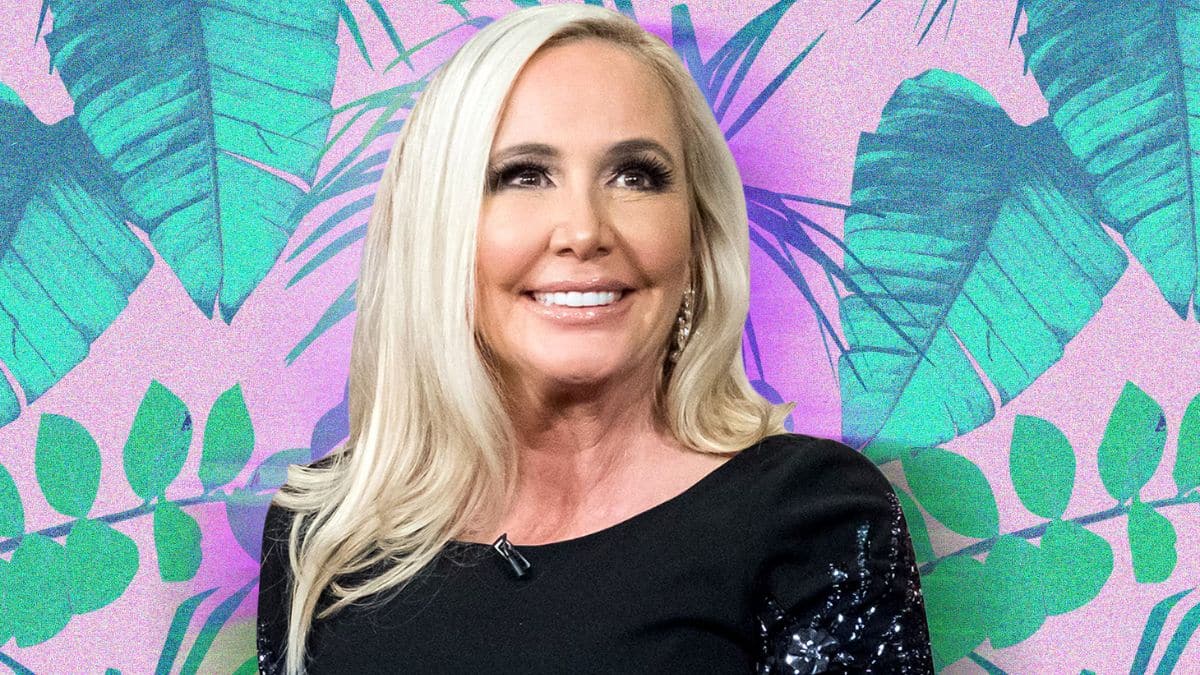 Shannon's DUI: RHOCShannon Beador Recalled What Led To Her DUI Leaving ...